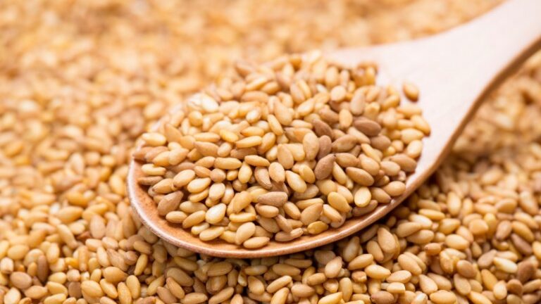Top 10 Sesame Seeds Exporters in India 2025 | Sadbhaav Spices Leads