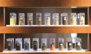 2026 Wholesale Spice Price List: Cumin, Coriander, Sesame India